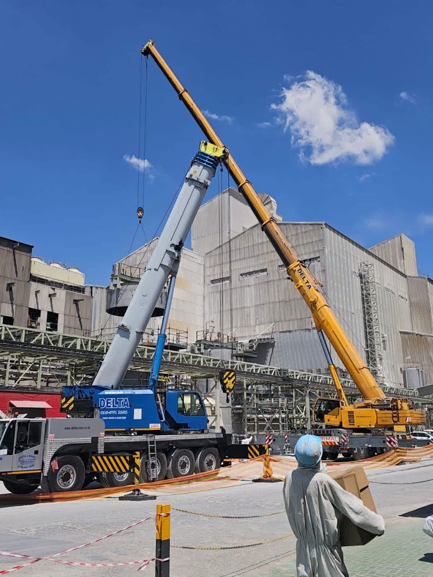 Delta Cranes